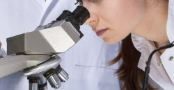 Neuroscience Laboratory Equipment | LabX