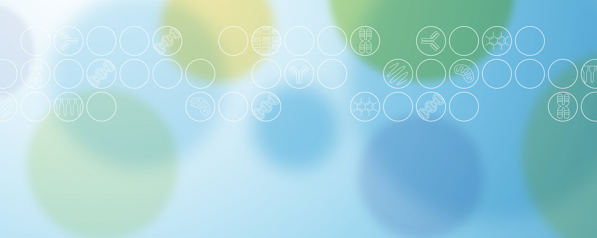 The QX600 ddPCR System: An Advanced Liquid Biopsy Analysis Solution