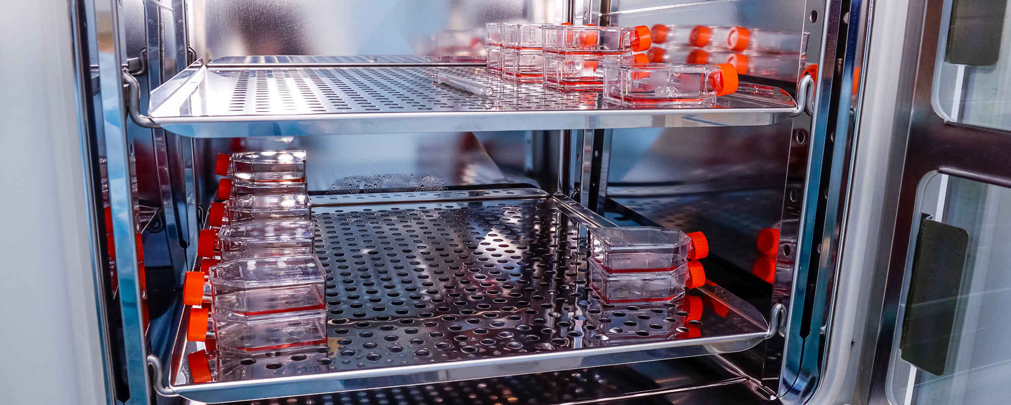 Laboratory Incubator Buying Guide