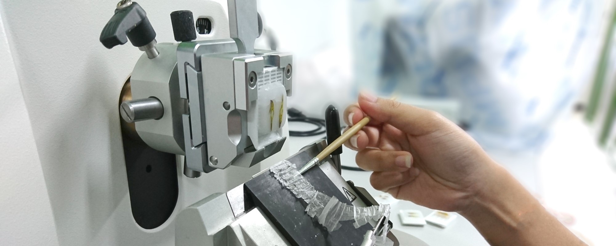 Microtome Buying Guide