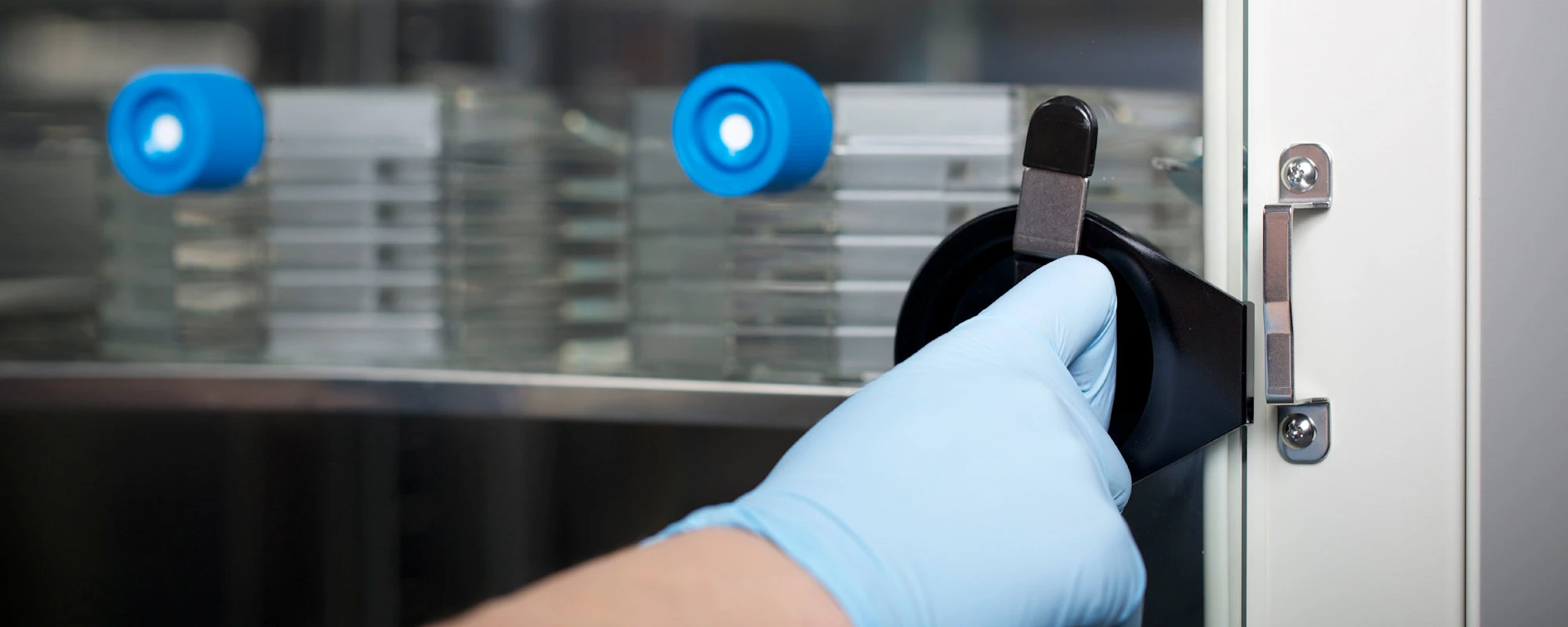 Maintaining Your Incubator for Optimal Cell Culture: Infographic