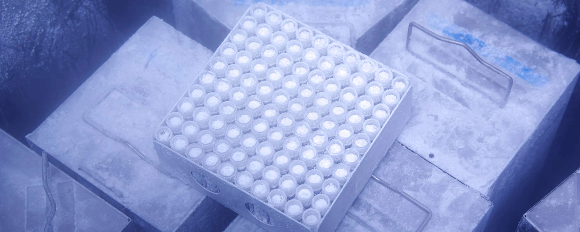 How To Prepare For Your Annual Ultra-Low Temperature (ULT) Freezer ...