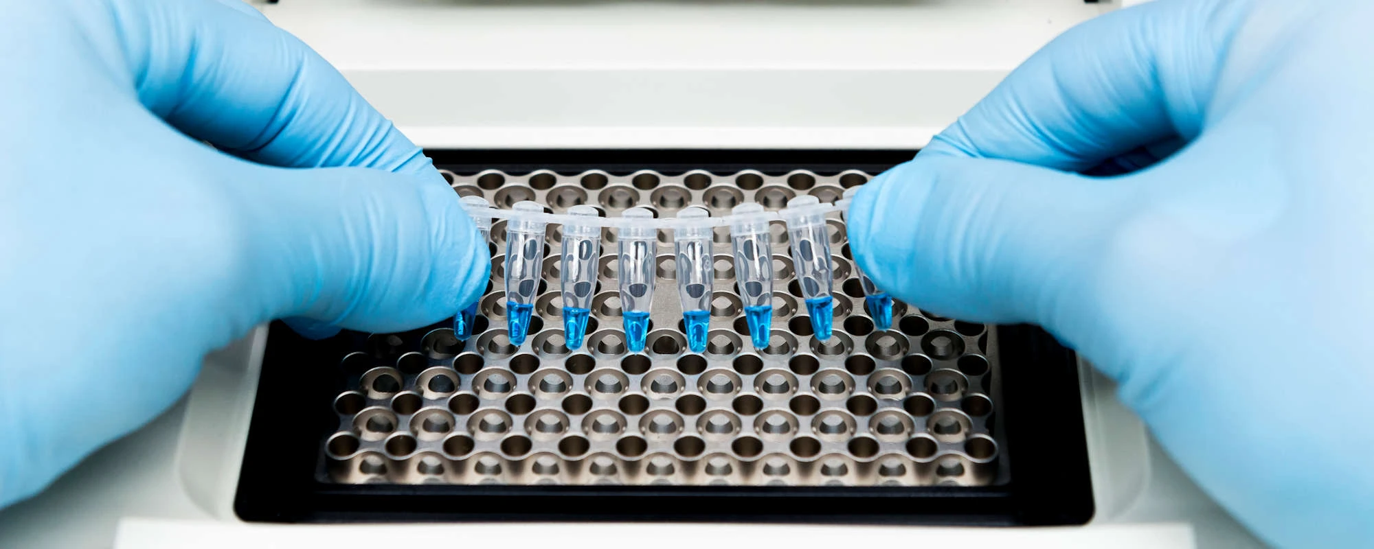 Beadbeaters: Indispensable Tools for the Latest Cell Homogenization ...