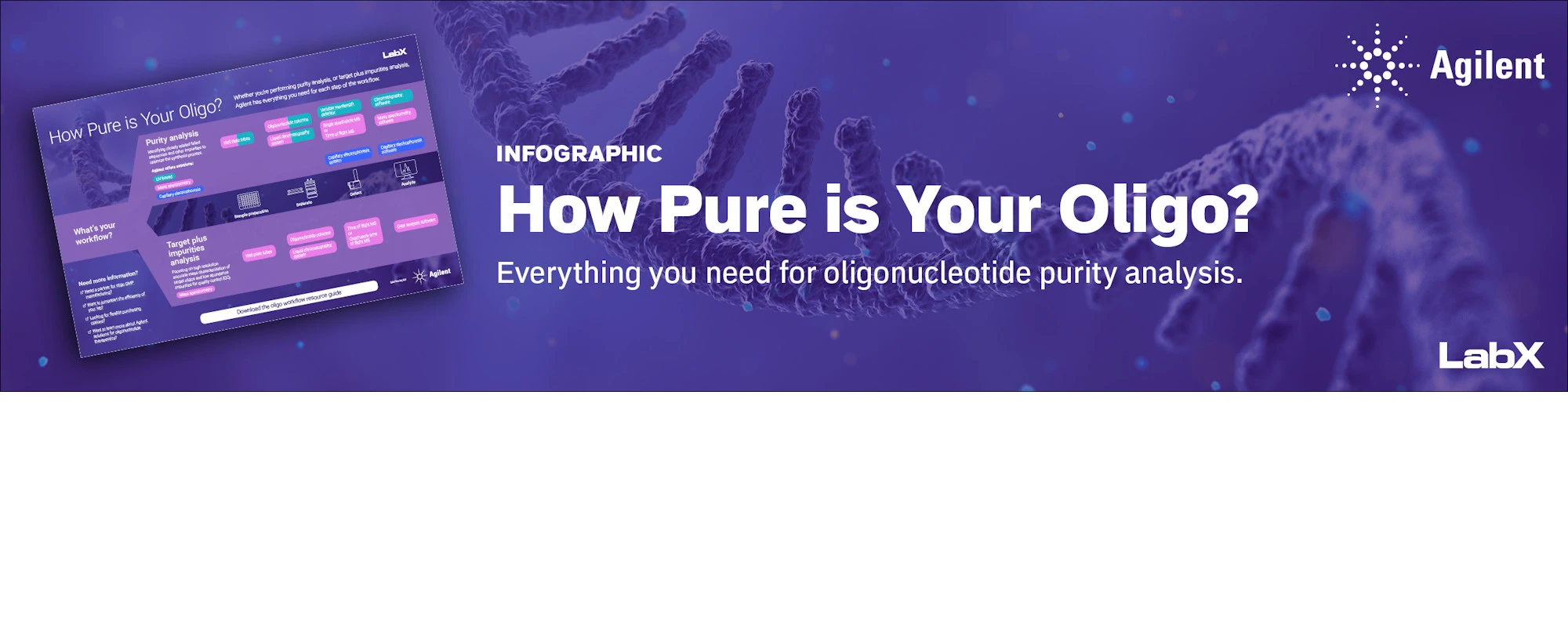 Infographic: How Pure is Your Oligo?