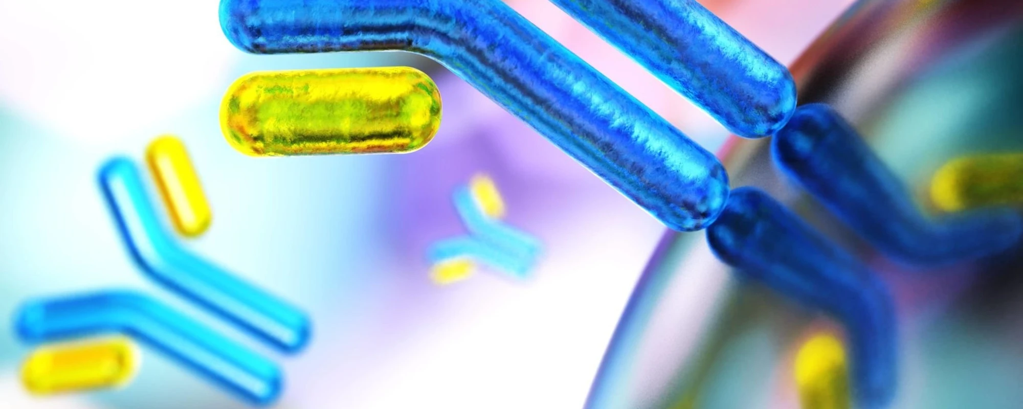The Expanding Impact of Biolayer Interferometry on Antibody Development