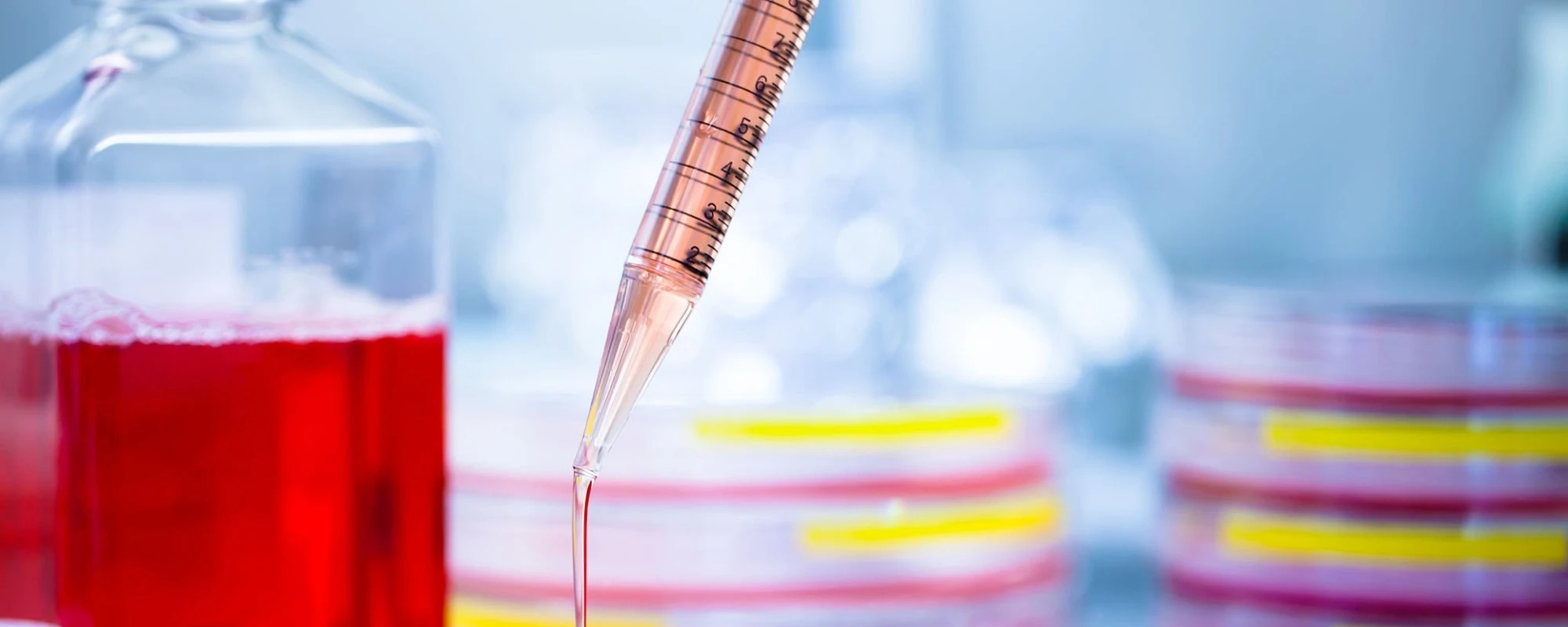 Automated 3D Cell Culture Workflows: Reshaping Disease Research and ...