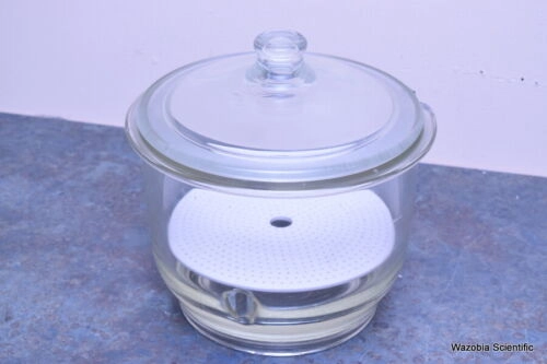 PYREX DRY SEAL VACUUM DESICCATOR | LabX.com