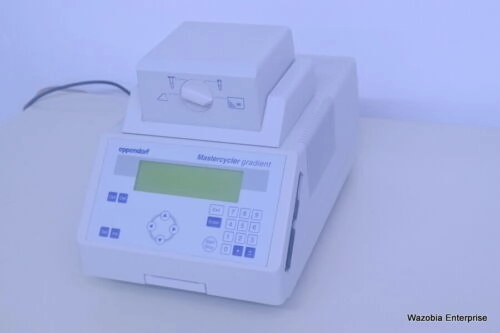 EPPENDORF MASTERCYCLER GRADIENT 5331 THERMAL CYCLE | LabX.com