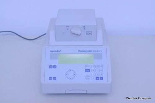 EPPENDORF MASTERCYCLER GRADIENT 5331 THERMAL CYCLE | LabX.com