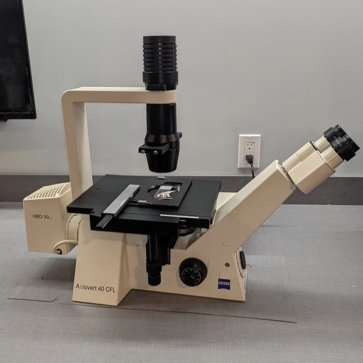 Zeiss Axiovert 40 CFL Inverted Phase Contrast Fluorescence Trinocular ...