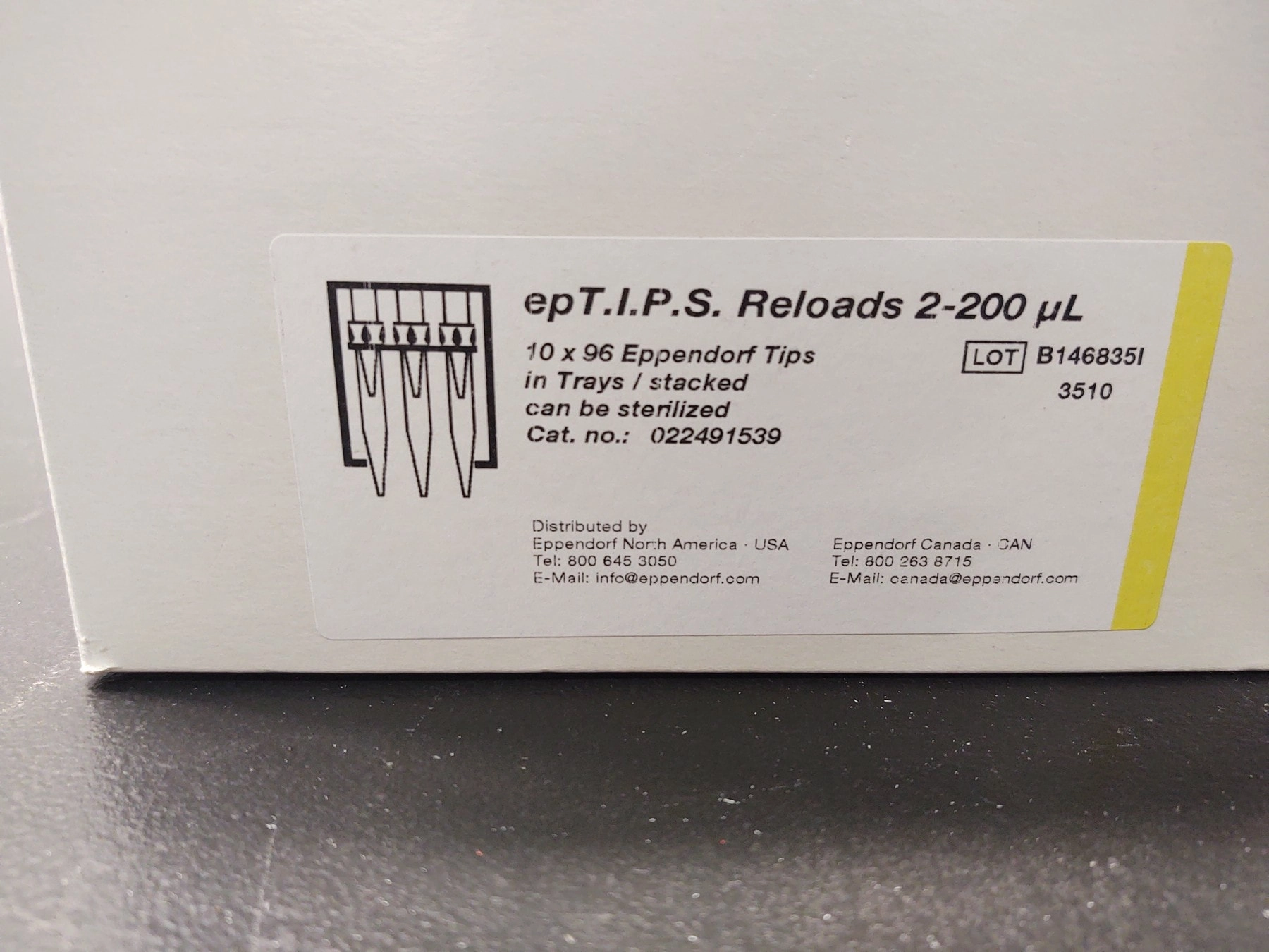 Eppendorf Pipette Tips