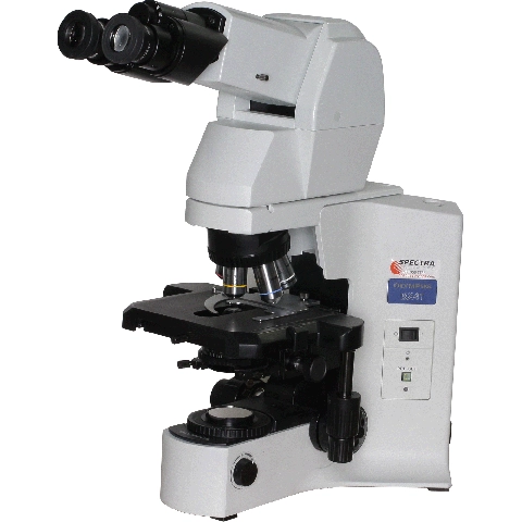 Olympus BX41 Microscope with Tilting and Telescoping Head | LabX.com