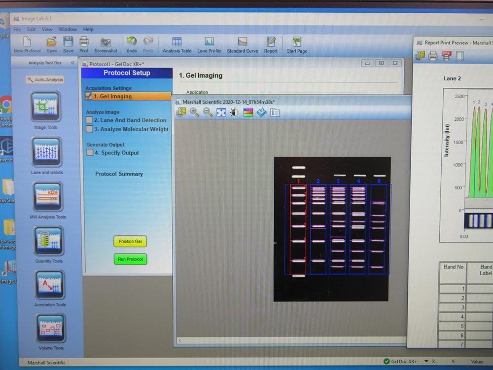 Biorad Gel Doc XR+ Imaging System | LabX.com