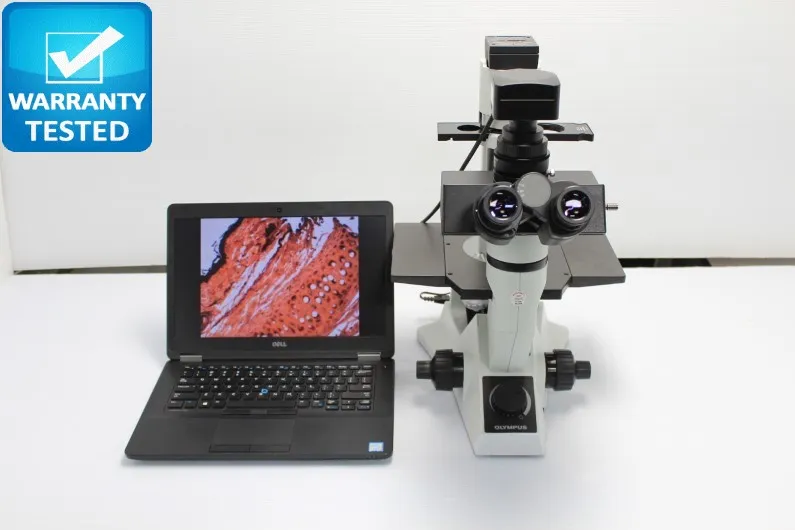 Olympus CKX41 Inverted Phase Contrast Microscope CKX41SF Unit2 Pred ...