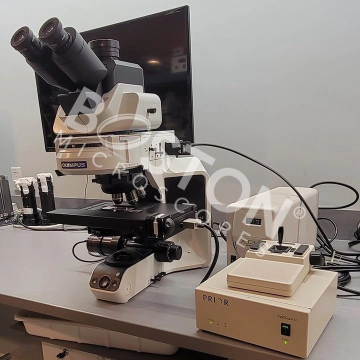 Olympus BX53 Upright Phase Contrast Fluorescence Trinocular Microscope | LabX.com