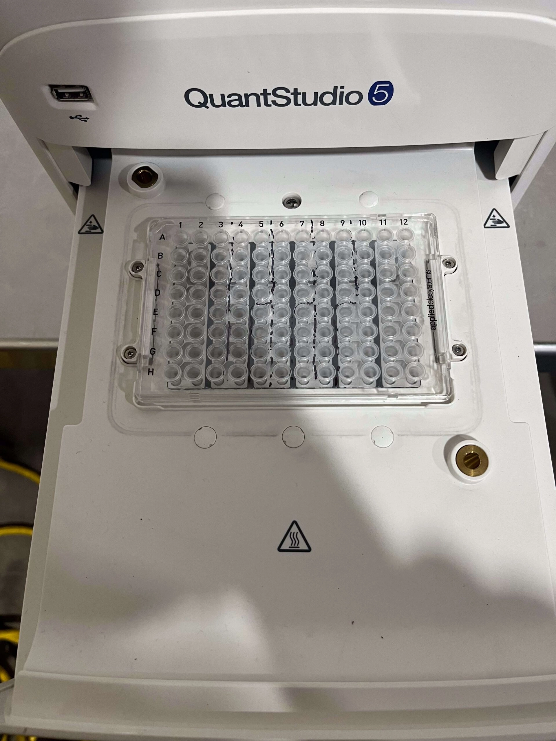 Applied Biosystems Real Time PCR Instrument QuantStudio 5 | LabX.com