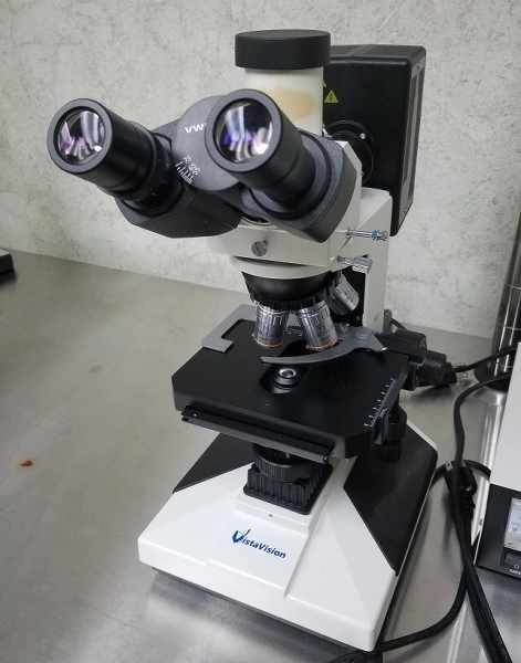 VWR Compound Fluorescence Microscope | LabX.com