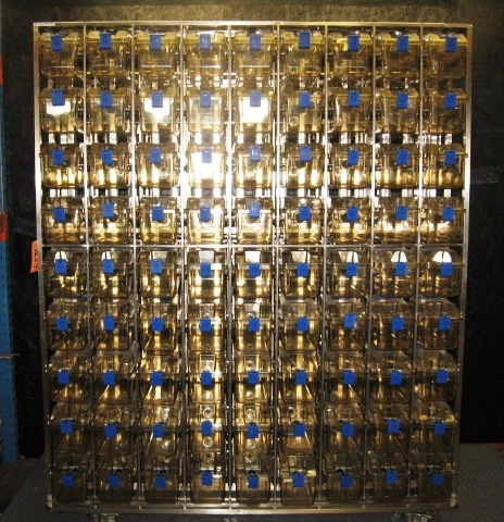 162 Cage Tecniplast IVC Rack with auto-water | LabX.com