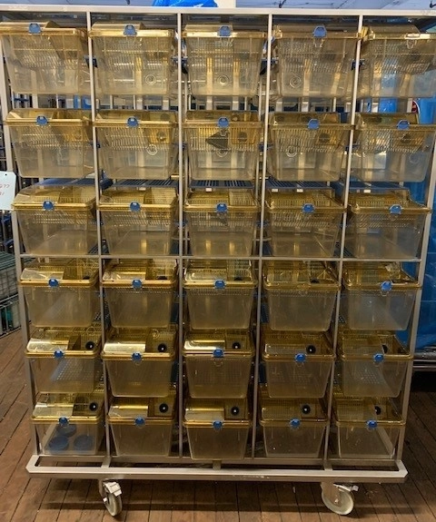 Tecniplast Rat 30 Cage Vent Rack W/Autowatering | LabX.com