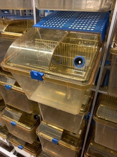 Tecniplast Rat 30 Cage Vent Rack W/Autowatering | LabX.com