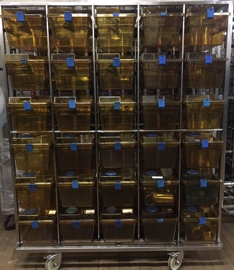 Tecniplast 30 Cage Rat Vent Rack | LabX.com