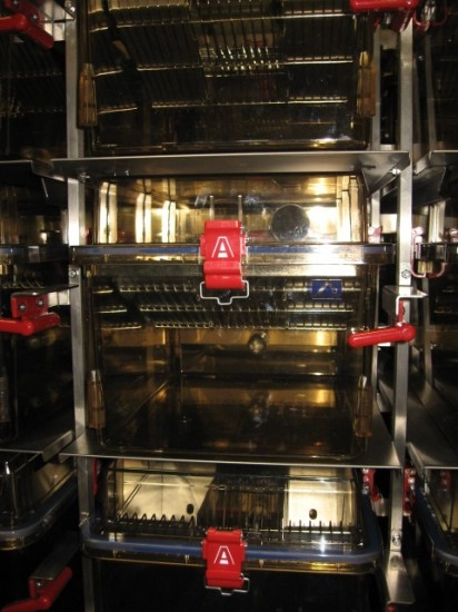 NEW 60 Cage Allentown BCU IVC Vent Rack | LabX.com