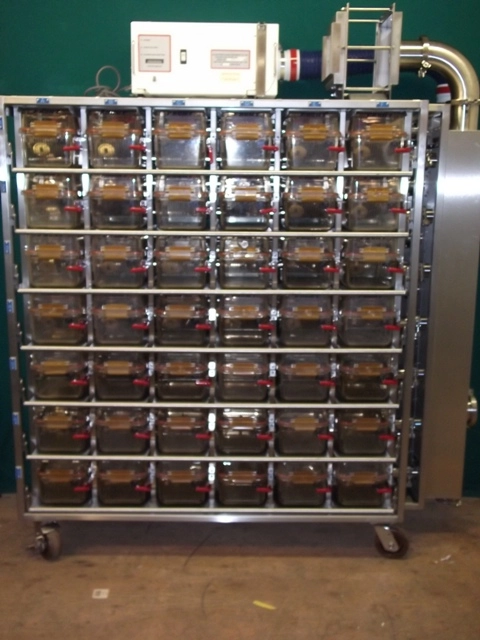 BCU 42 Cage Mouse vent rack | LabX.com
