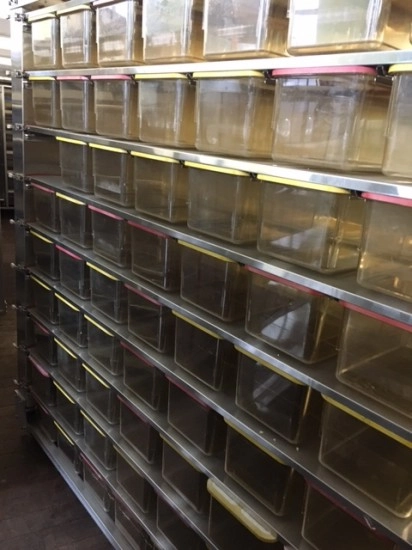 126 Cage Thoren Mouse Vent Rack With #5 Cages | LabX.com