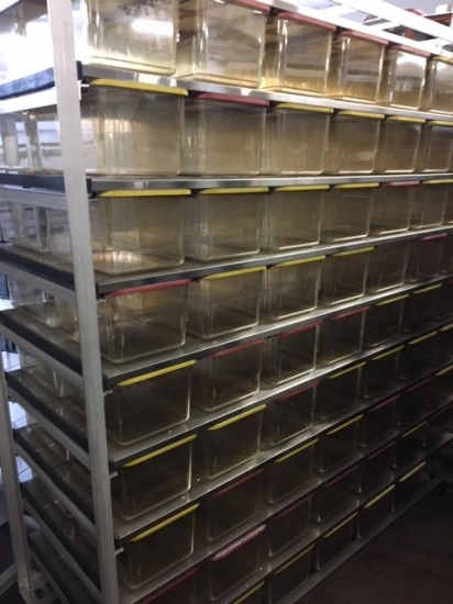 126 Cage Thoren Mouse Vent Rack With #5 Cages | LabX.com