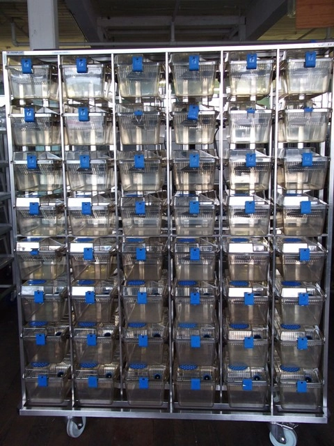 Tecniplast 48 Cage Mouse Vent Rack | LabX.com
