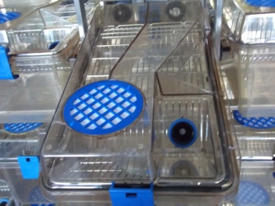 Tecniplast 48 Cage Mouse Vent Rack | LabX.com