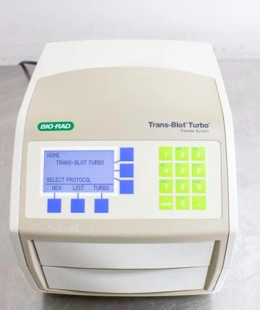 Bio Rad Trans-Blot Turbo Transfer System | LabX.com