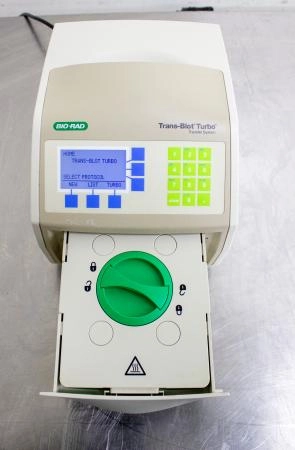Bio Rad Trans-Blot Turbo Transfer System | LabX.com