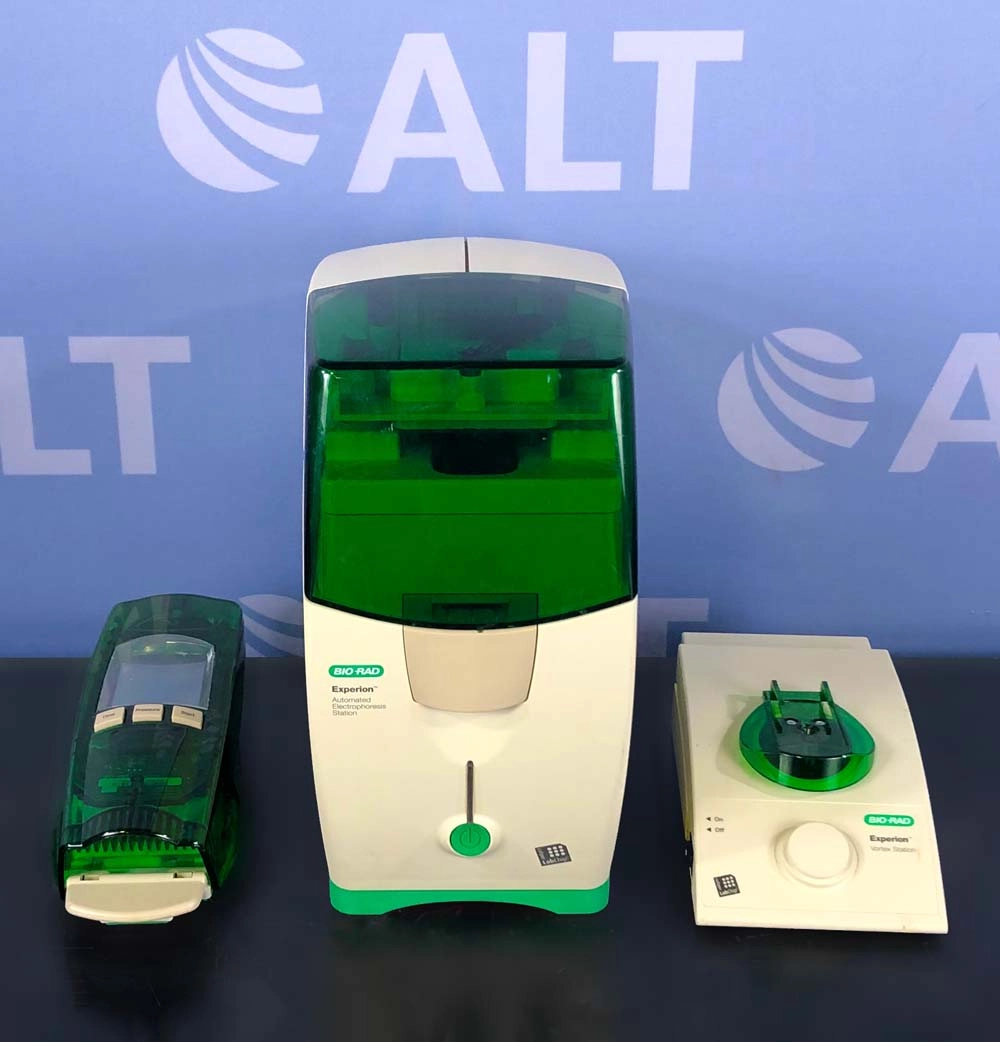 Bio Rad Electrophoresis