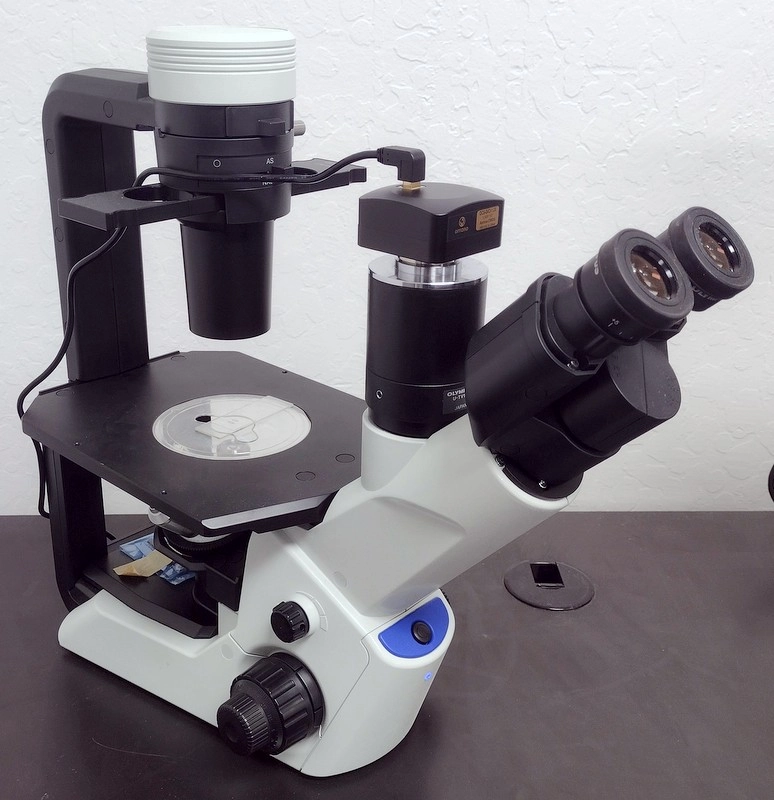 Olympus CKX53 Inverted Phase Contrast Microscope | LabX.com