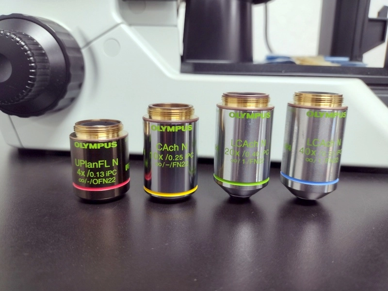 Olympus CKX53 Inverted Phase Contrast Microscope | LabX.com