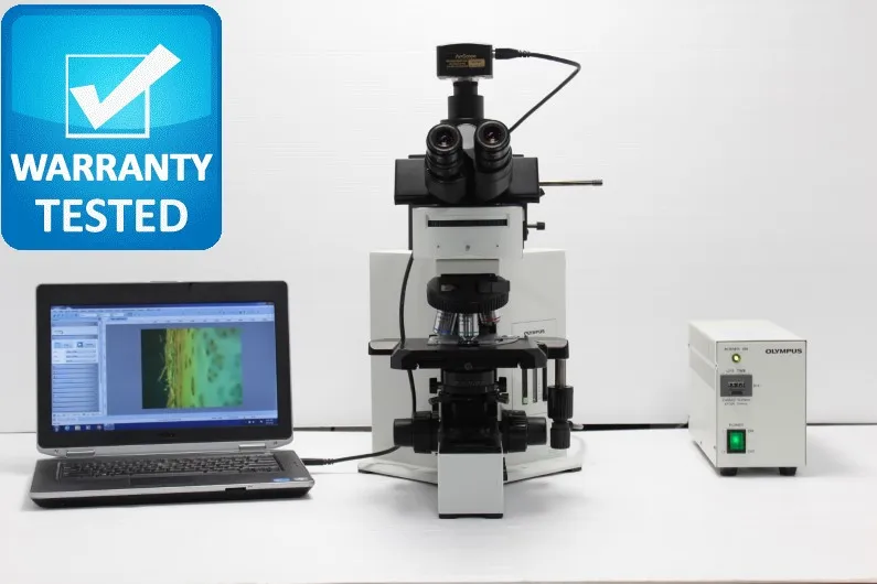 Olympus BX50 Fluorescence Microscope BX50F-3 Pred BX53 - AV | LabX.com