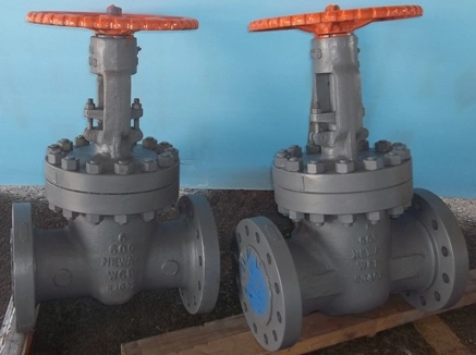 NEWAY 6" CLASS 600 FLANGED WCB, GATE VALVES | LabX.com