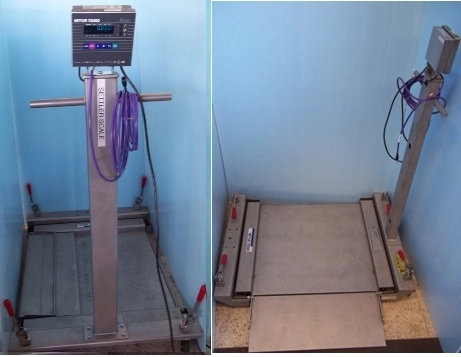 METTLER TOLEDO DECK MATE SCALE WITH CONTROLLER MODEL: PANTHER, FACT ...