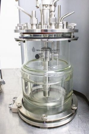 New Brunswick BioFlo 310 Benchtop Fermentor Bioreactor Model BF-310 ...