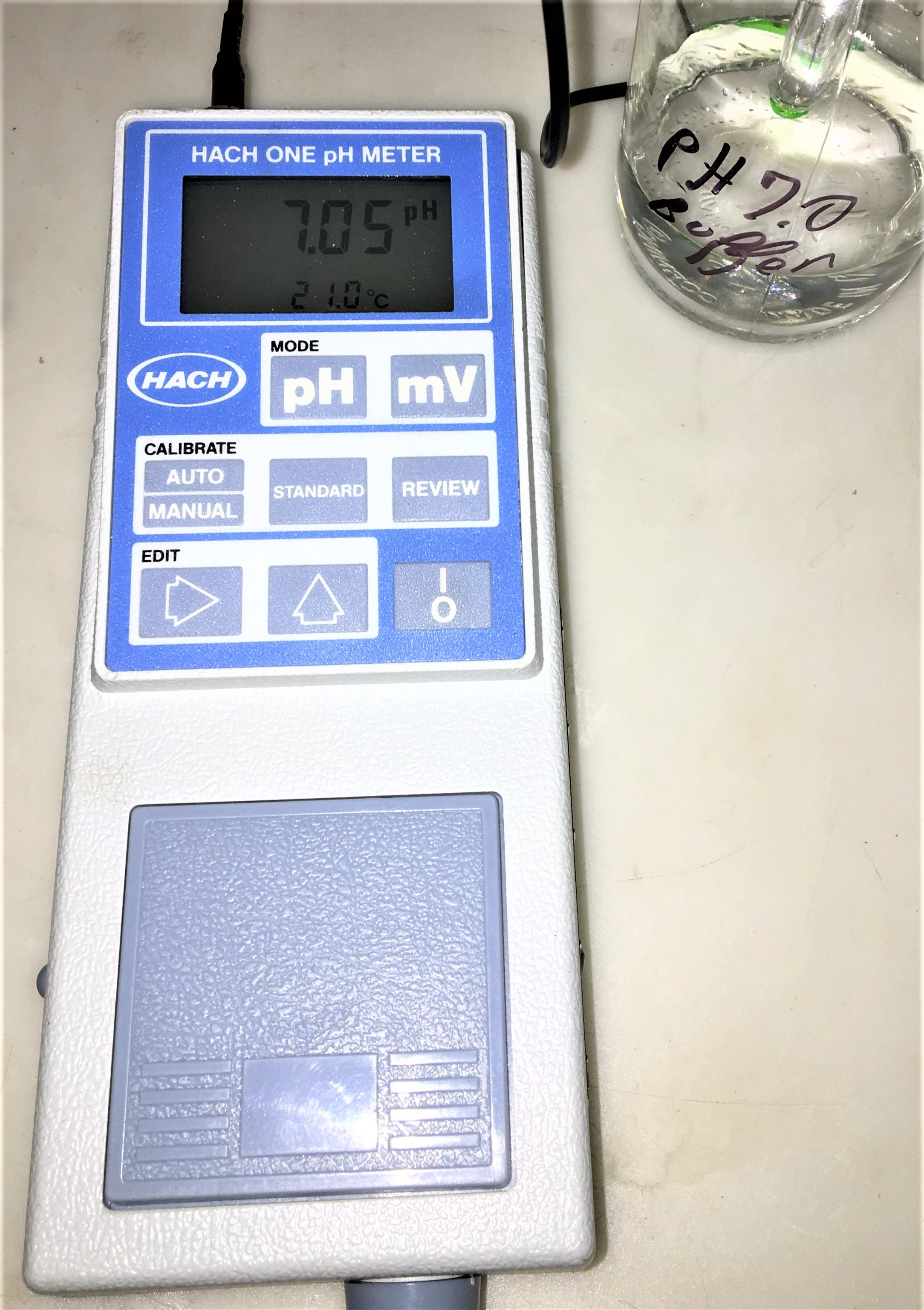 Hach ONE (43800-00) Portable pH Meter with New Electrode | LabX.com
