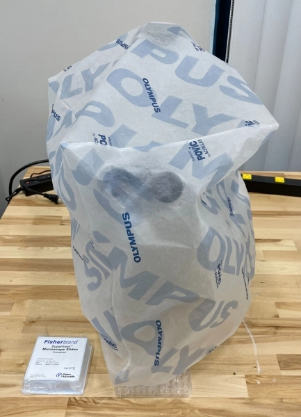 Olympus Inverted Phase Contrast Cell Culture Microscope CKX41 | LabX.com