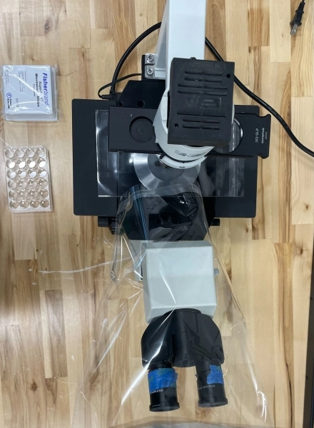 Olympus Inverted Phase Contrast Cell Culture Microscope CKX41 | LabX.com