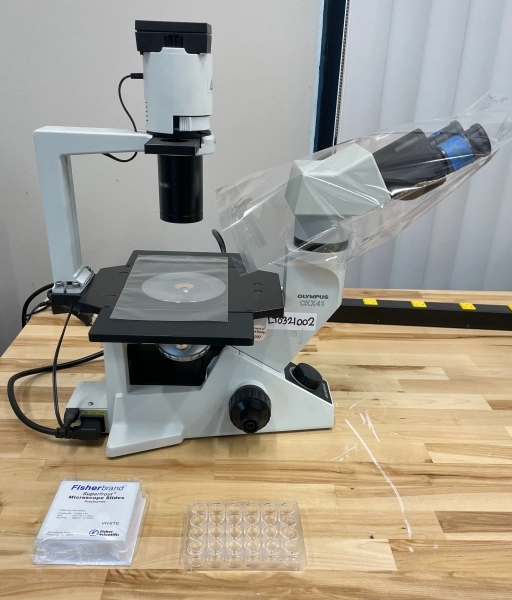 Olympus Inverted Phase Contrast Cell Culture Microscope CKX41 | LabX.com