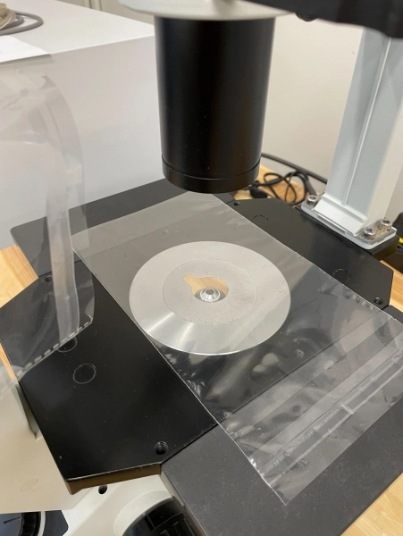 Olympus Inverted Phase Contrast Cell Culture Microscope CKX41 | LabX.com