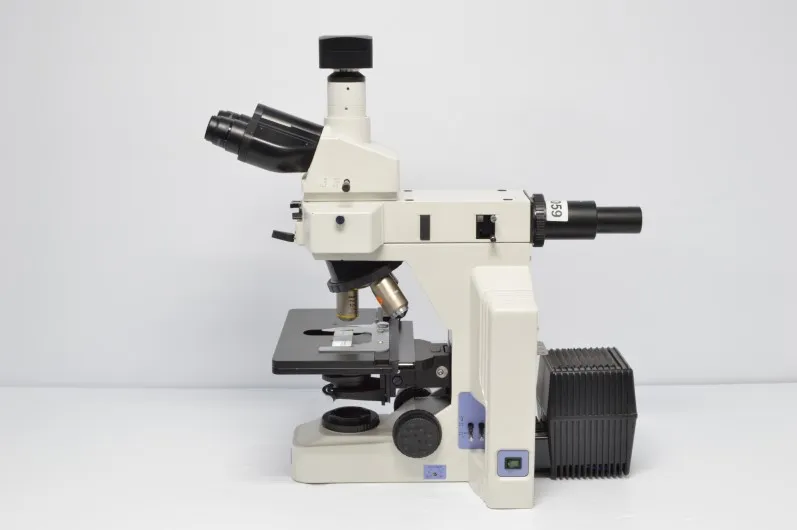 Nikon E600 Fluorescence Motorized Microscope Pred Ni | LabX.com