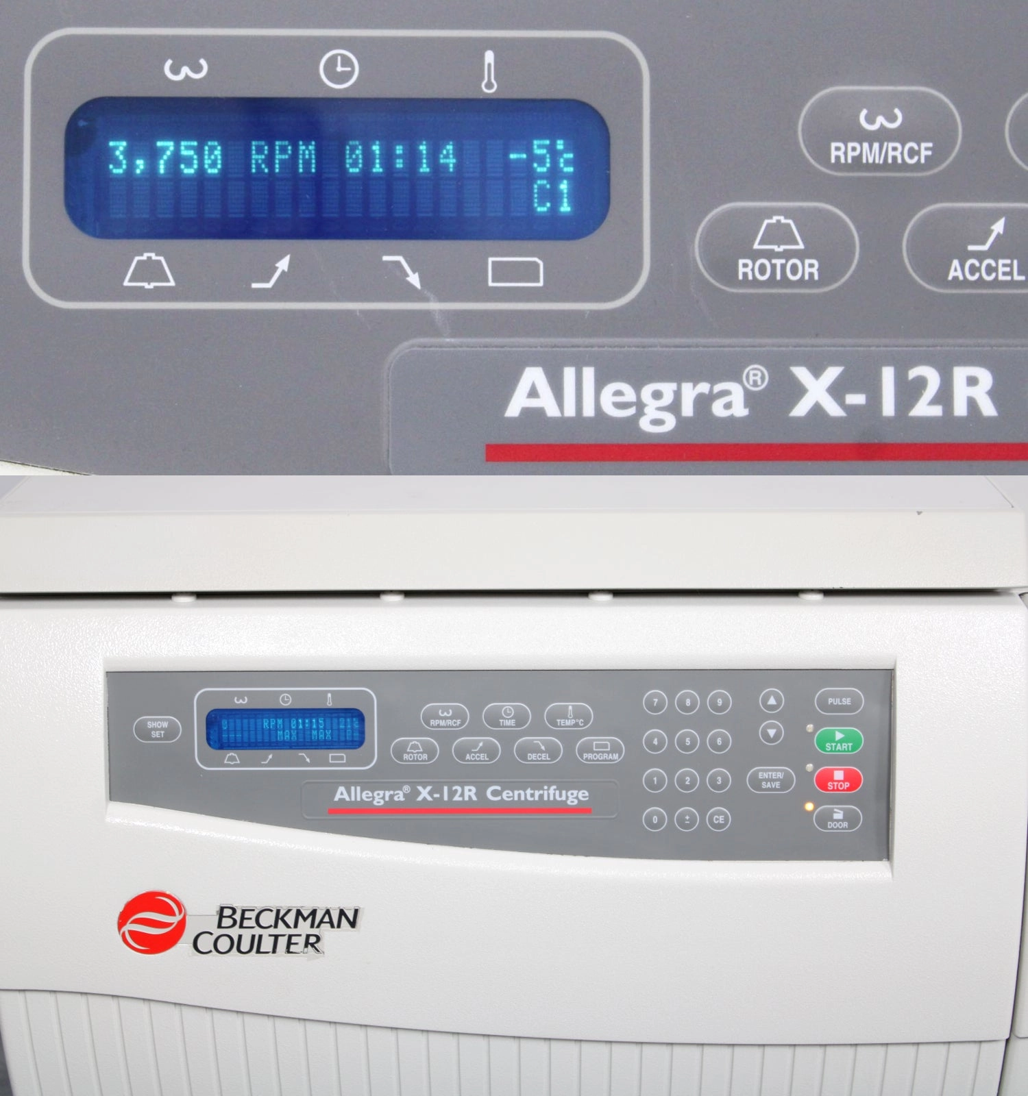 Beckman Coulter Allegra X-12R Refrigerated Benchtop Centrifuge 392302 | LabX.com