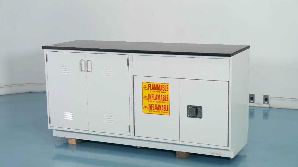 Flammable Liquid and Acid/Base Storage Cabinet | LabX.com