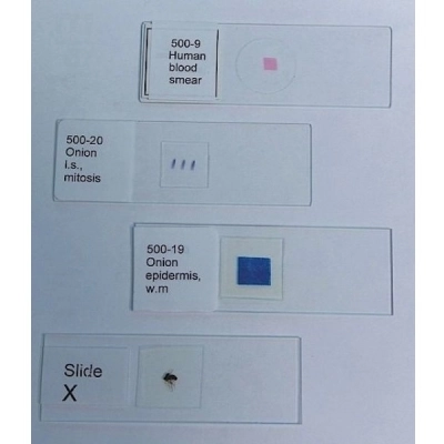 United Scientific Hydra, Wm 500-2 | LabX.com