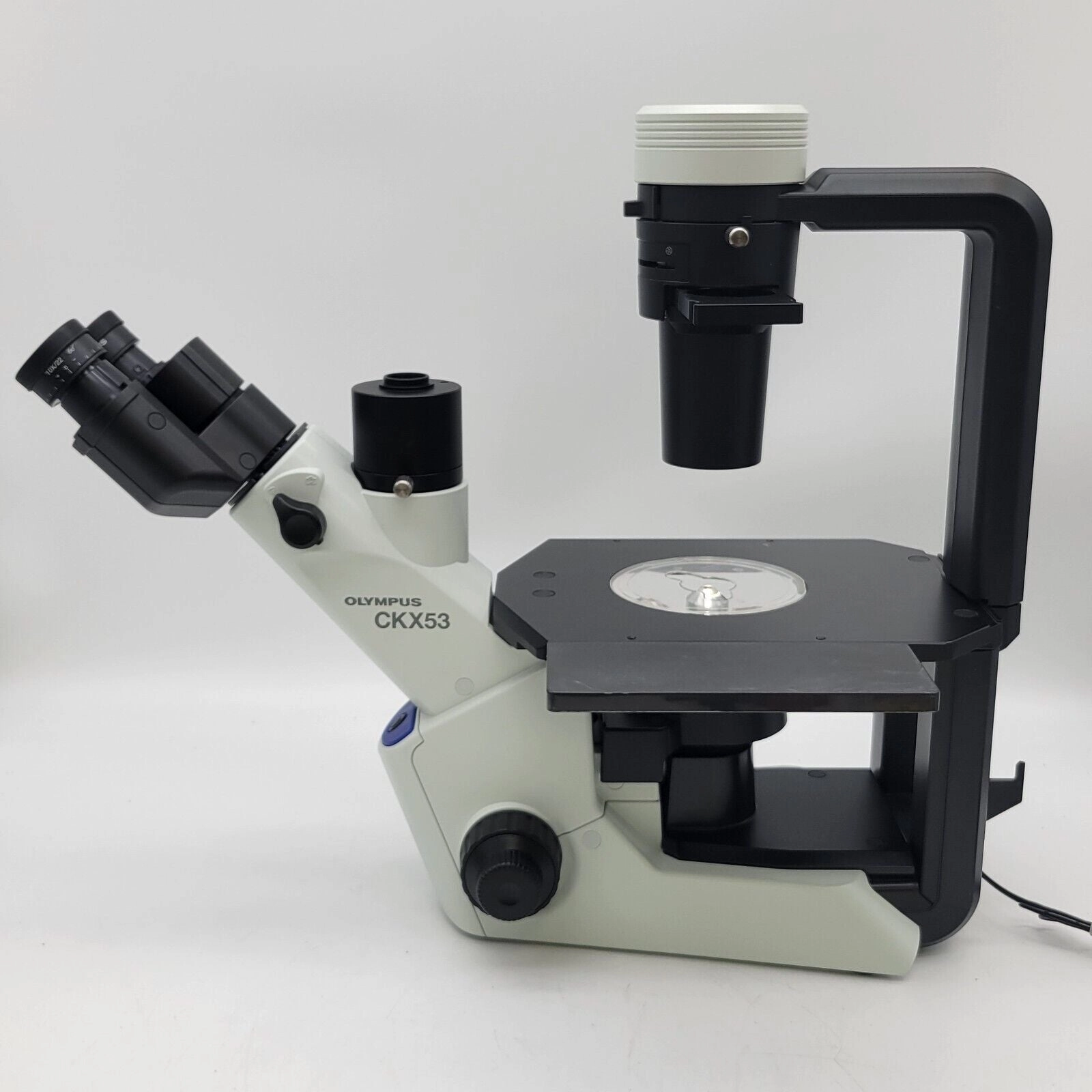Olympus Microscope CKX53 Inverted with Phase Contrast and IPC Objectives | LabX.com